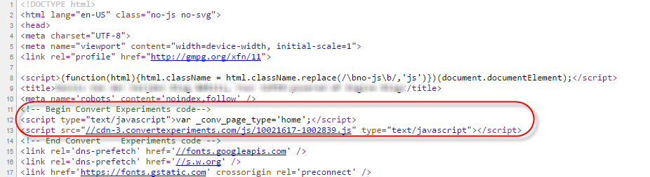 How to Install the Main Tag / Convert Tracking Code / JavaScript